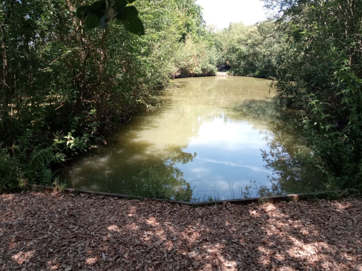 Lake Pictures - Menards Carp Fishery